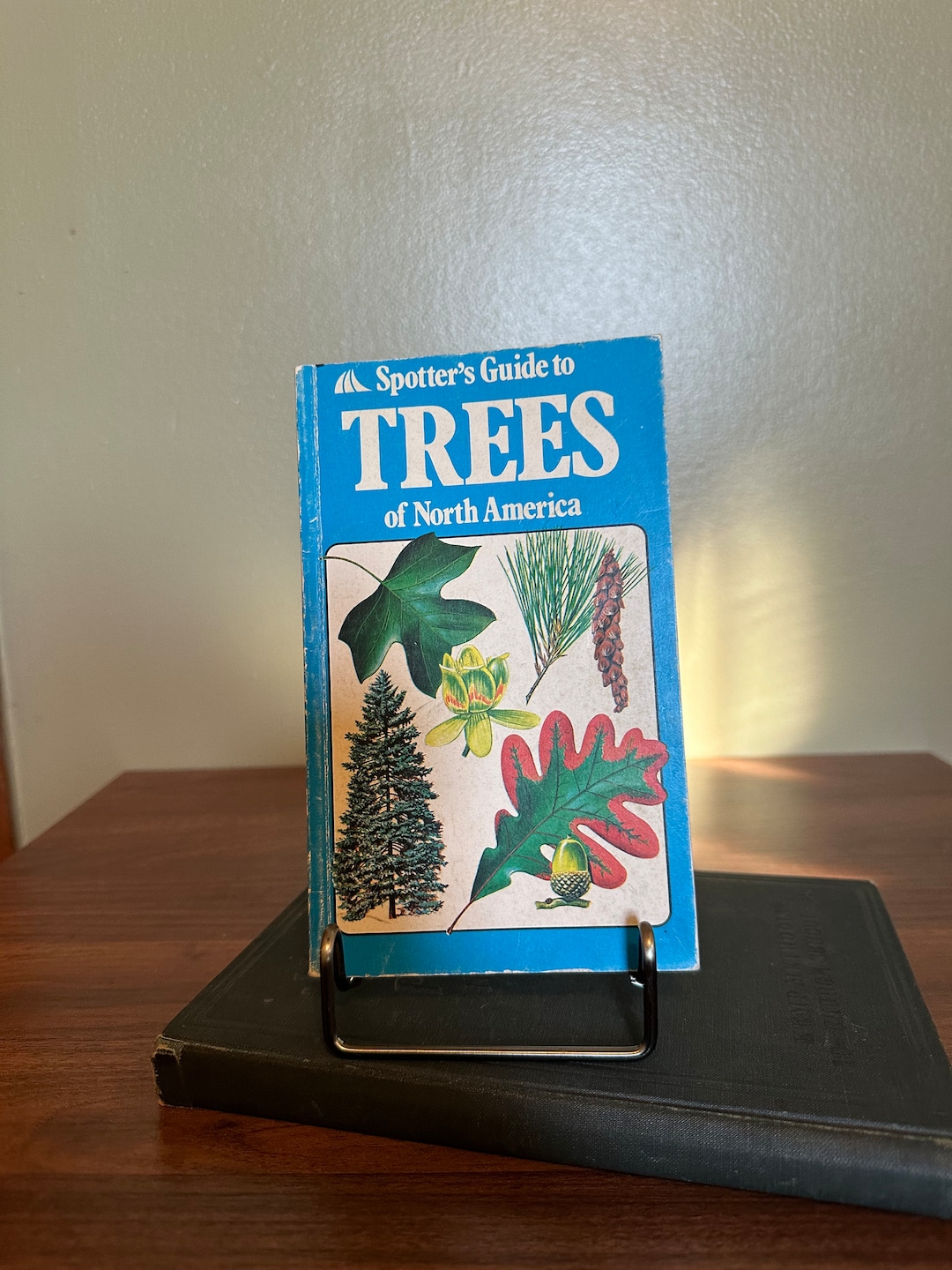 Spotters Guide to Trees of North America First Edition - Etsy