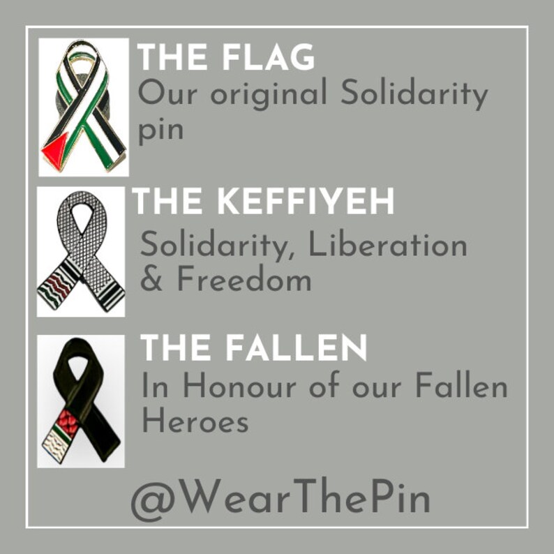 Palestine Solidarity Pin - Etsy