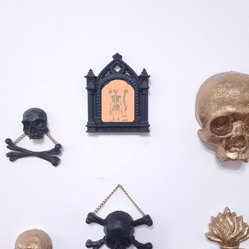 Gothic Stained Glass Frame Wall Decoration Exvoto Anatomical Skeleton ...