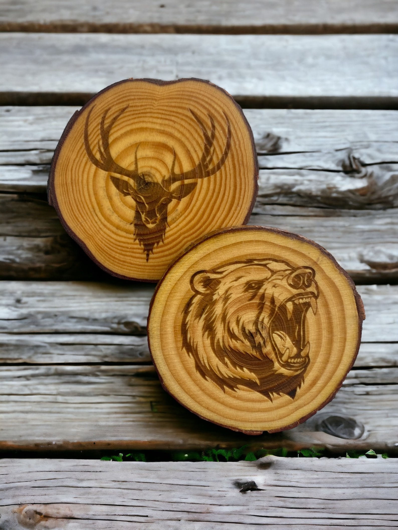 Rustic Engraved Coasters, Wildlife Animal Coasters, Natural Wood ...