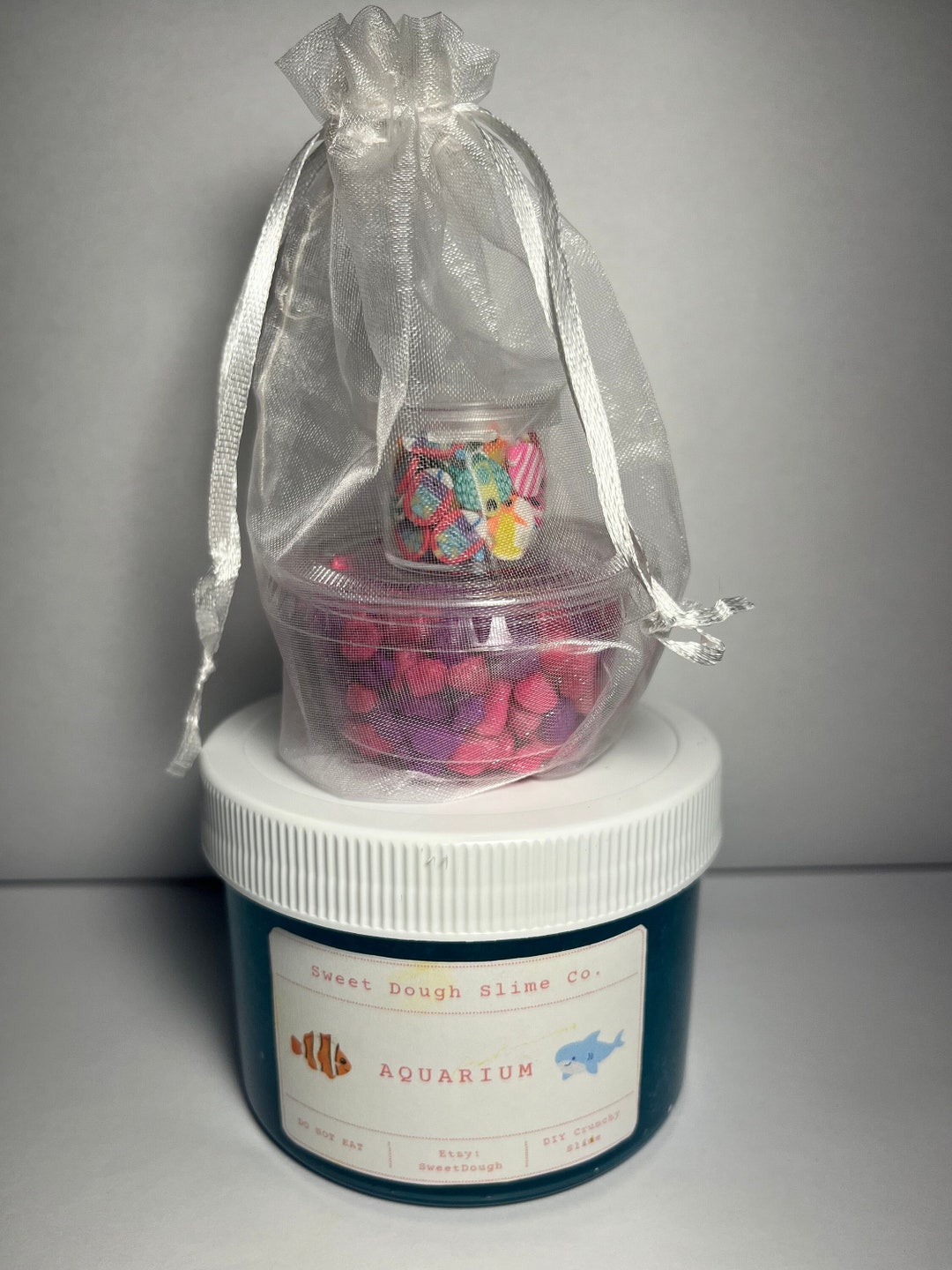 Aquarium DIY Slime Kit - Etsy