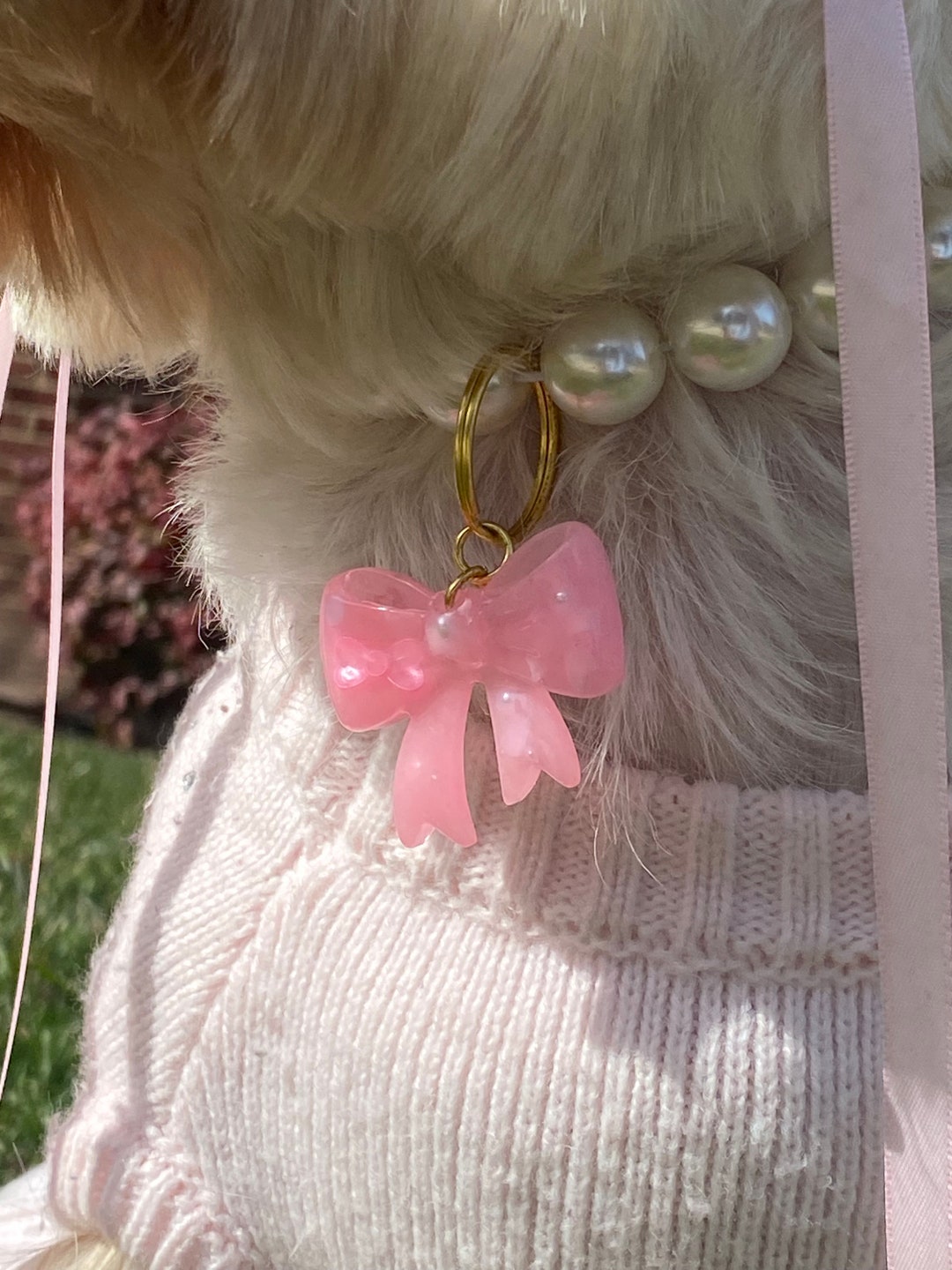 Lady Rose Tag or Blues Clues Tag - Etsy