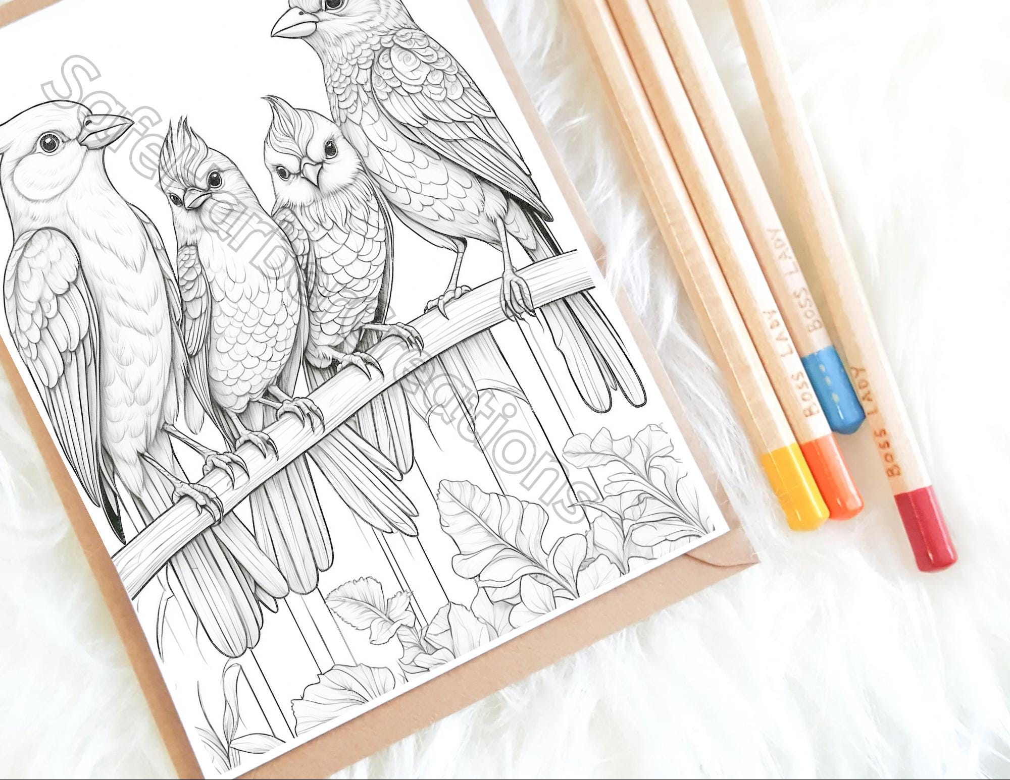 Bird Watching Coloring Pages, 50 Beautiful Images, Instant Download ...