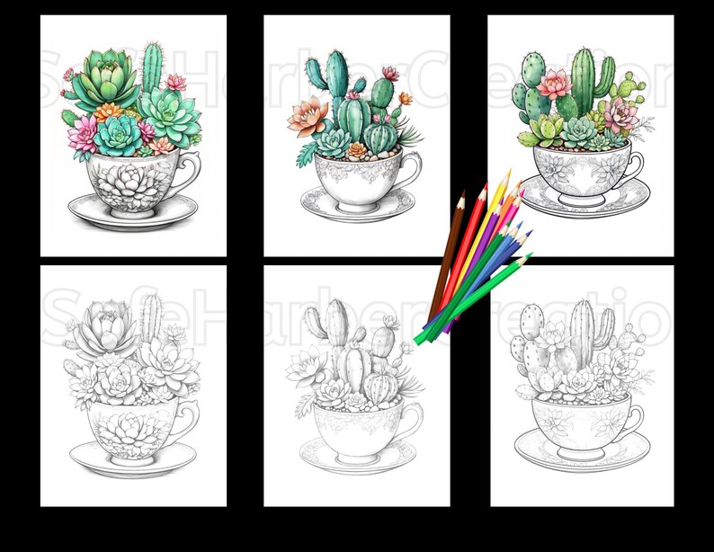 Teacup Succulents Coloring Pages, Cactus Coloring, Succulents Coloring ...