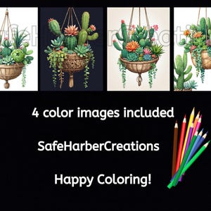 Cactus Hanging Basket Coloring Pages, Instant Download, Printable ...