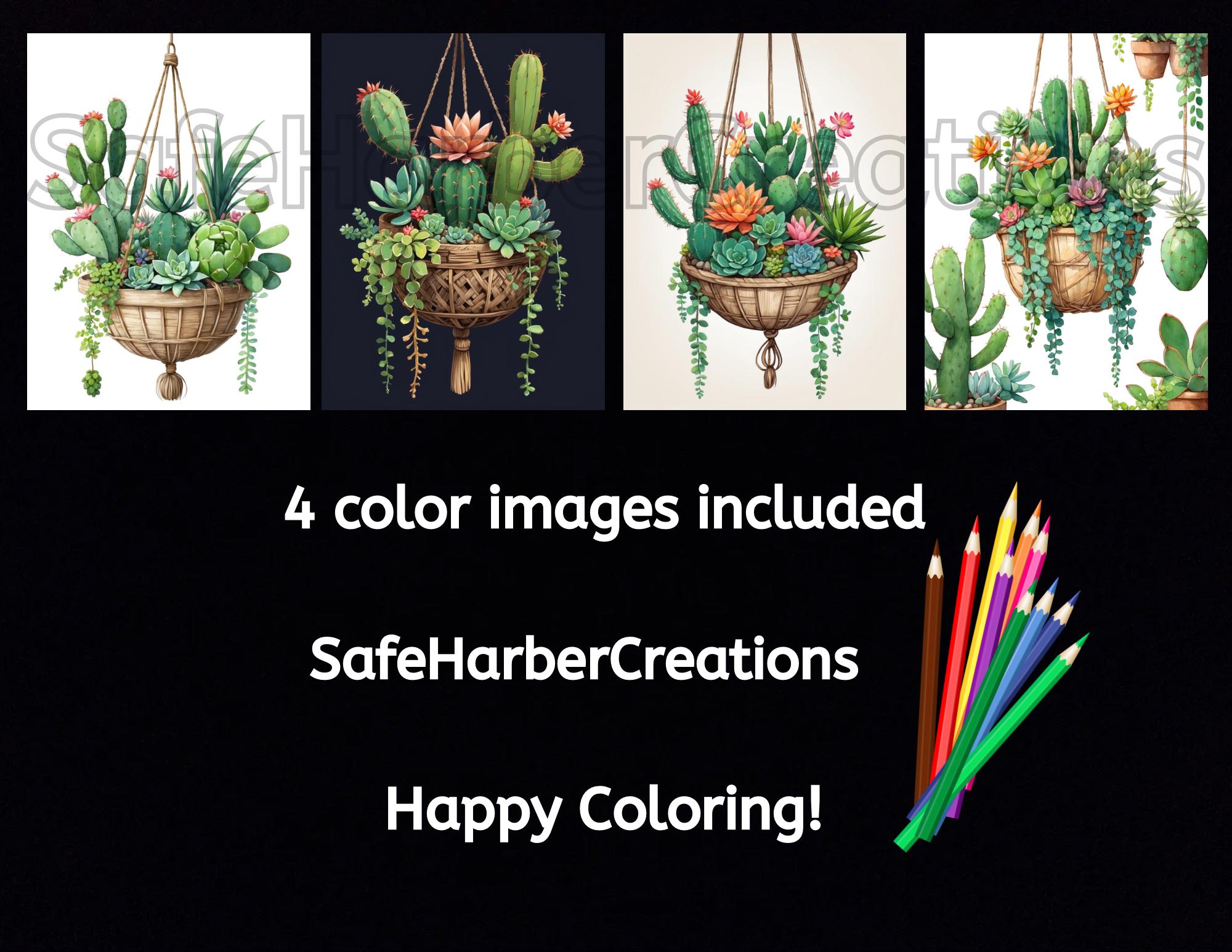 Cactus Hanging Basket Coloring Pages, Instant Download, Printable ...