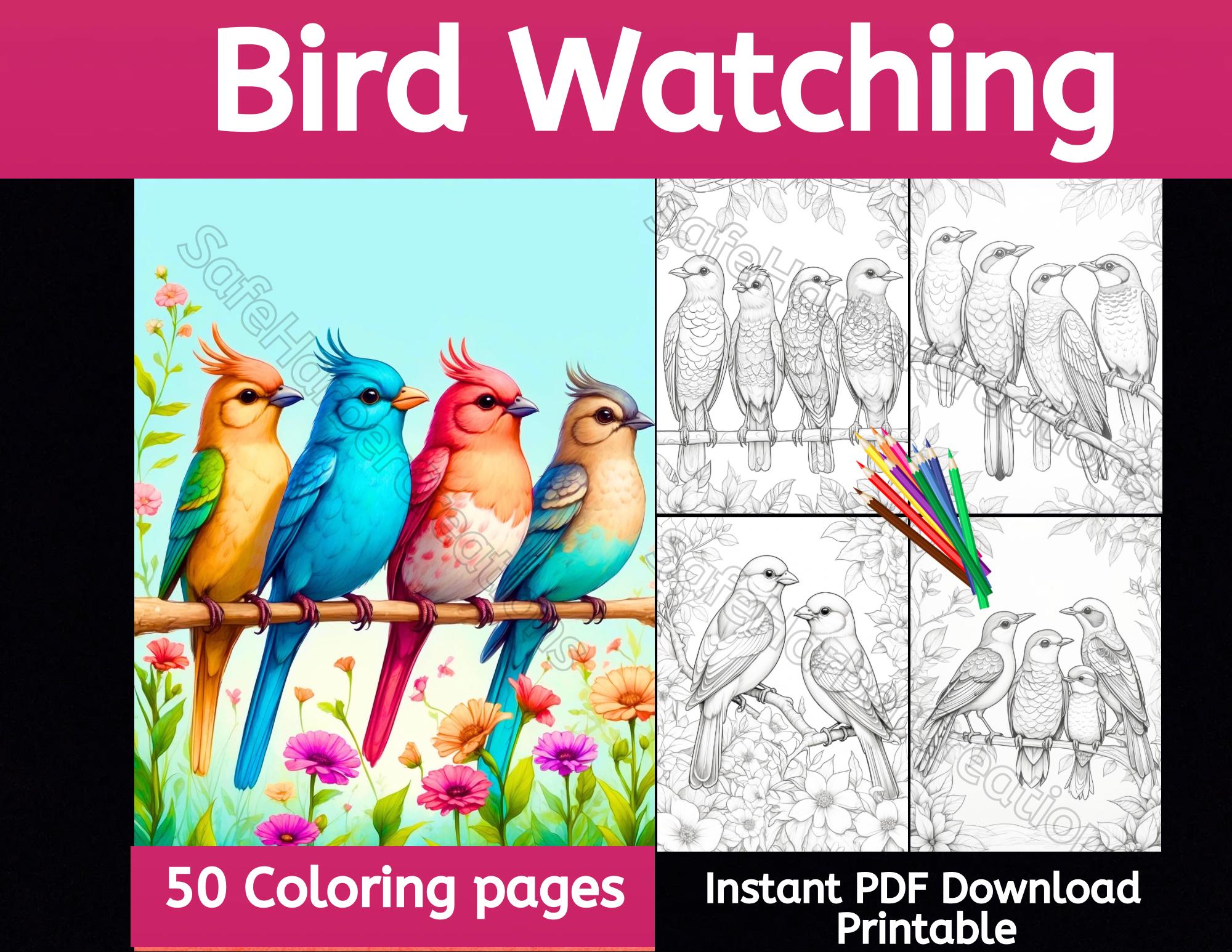 Bird Watching Coloring Pages, 50 Beautiful Images, Instant Download ...
