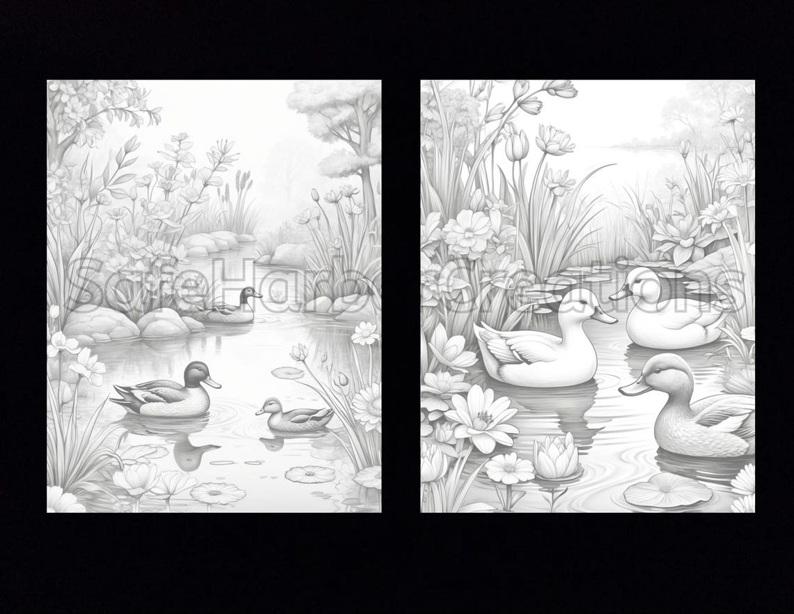 The Duck Pond Coloring Pages, 40 Images, Instant Download, Printable ...