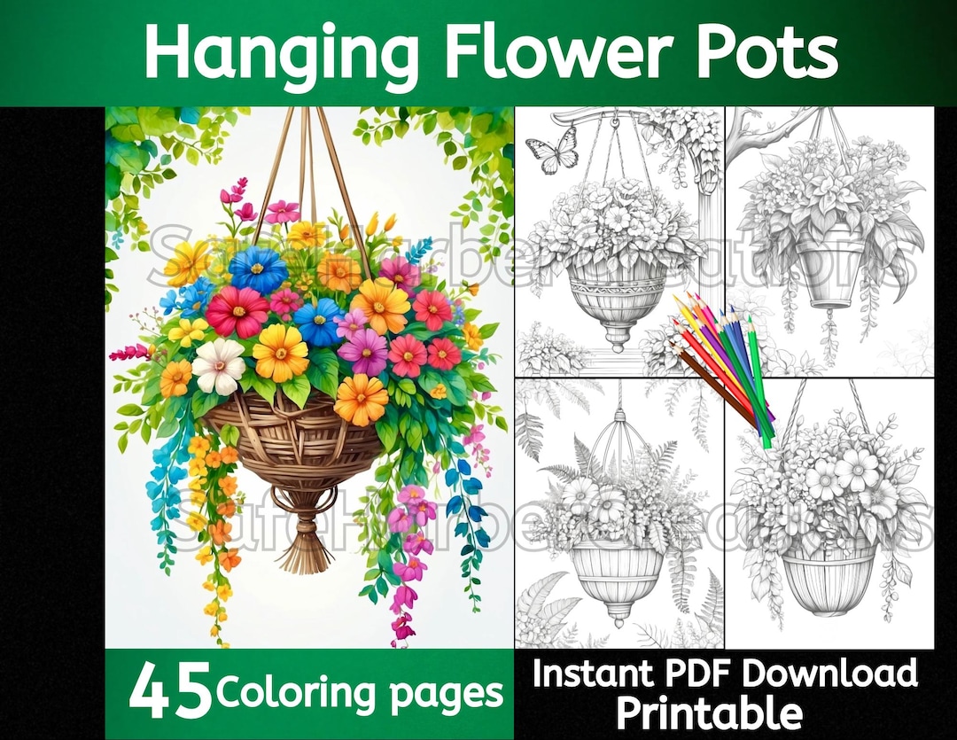 Hanging Flower Pot Coloring Pages, Instant Download, Printable, Flower ...