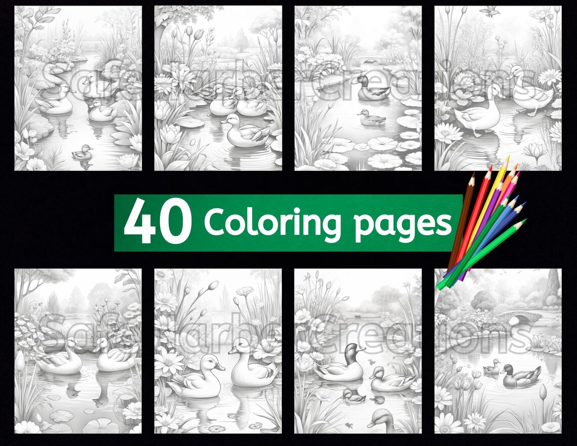 The Duck Pond Coloring Pages, 40 Images, Instant Download, Printable ...