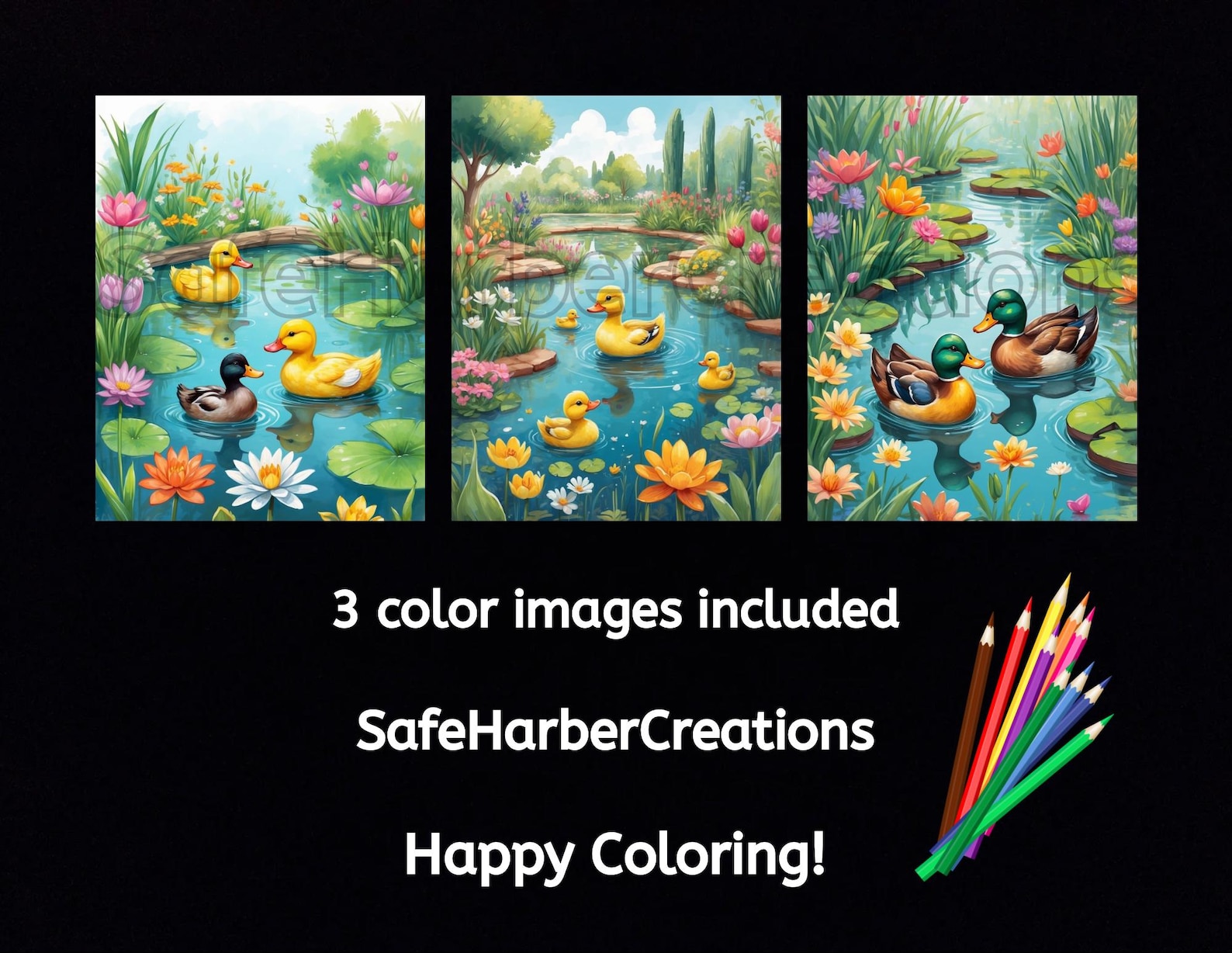 The Duck Pond Coloring Pages, 40 Images, Instant Download, Printable ...