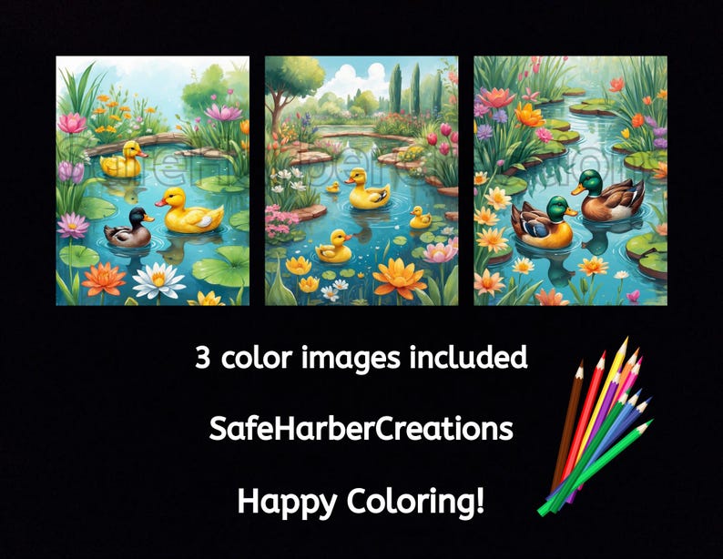 The Duck Pond Coloring Pages, 40 Images, Instant Download, Printable ...