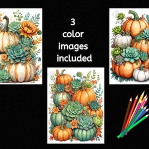 Succulent Pumpkins Coloring Pages, Instant Download, Printable, Pumpkin ...
