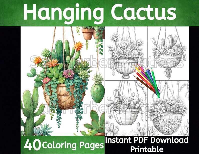 Cactus Hanging Basket Coloring Pages, Instant Download, Printable ...