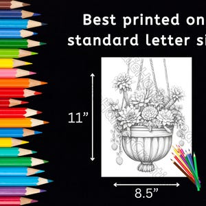 Cactus Hanging Basket Coloring Pages, Instant Download, Printable ...