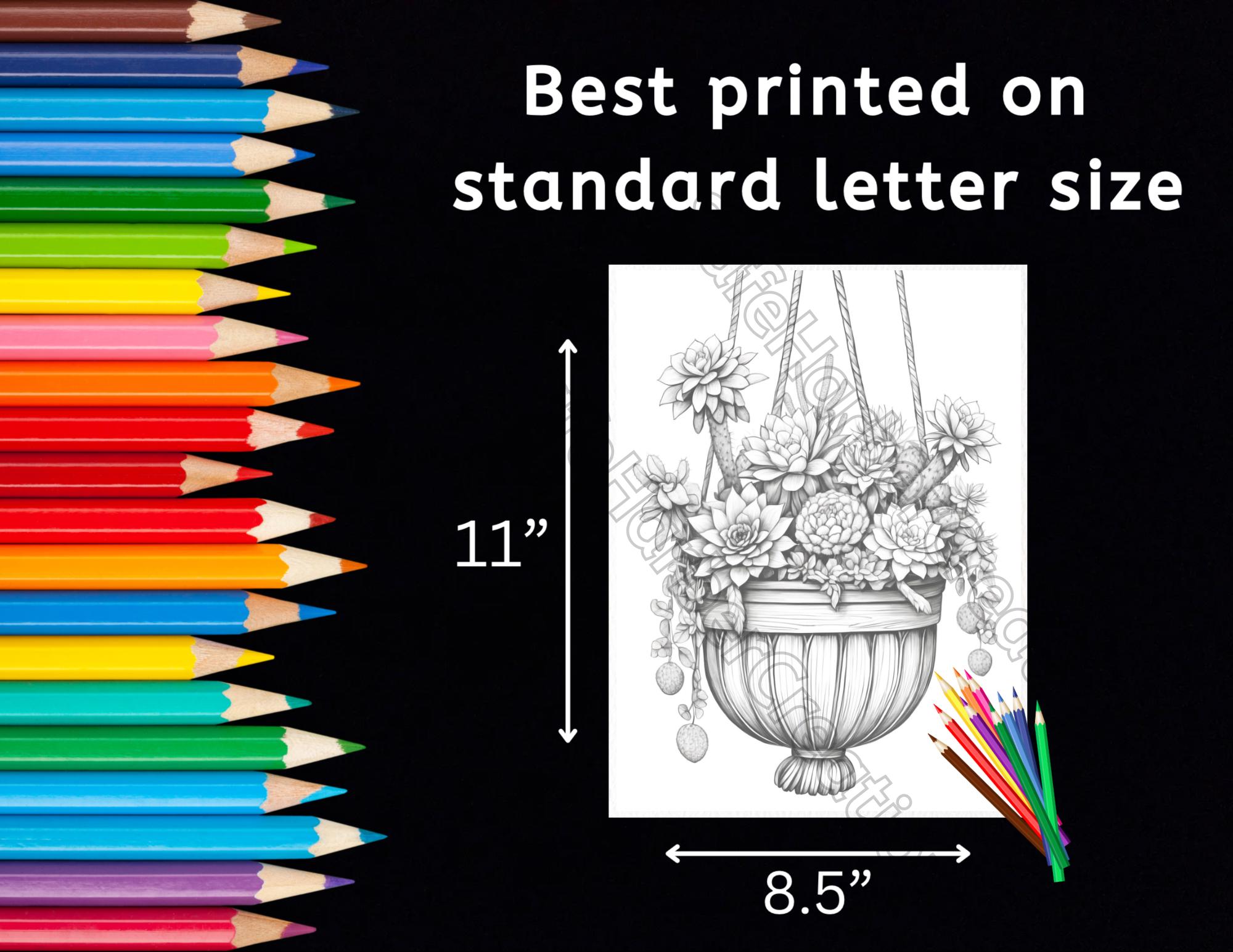 Cactus Hanging Basket Coloring Pages, Instant Download, Printable ...