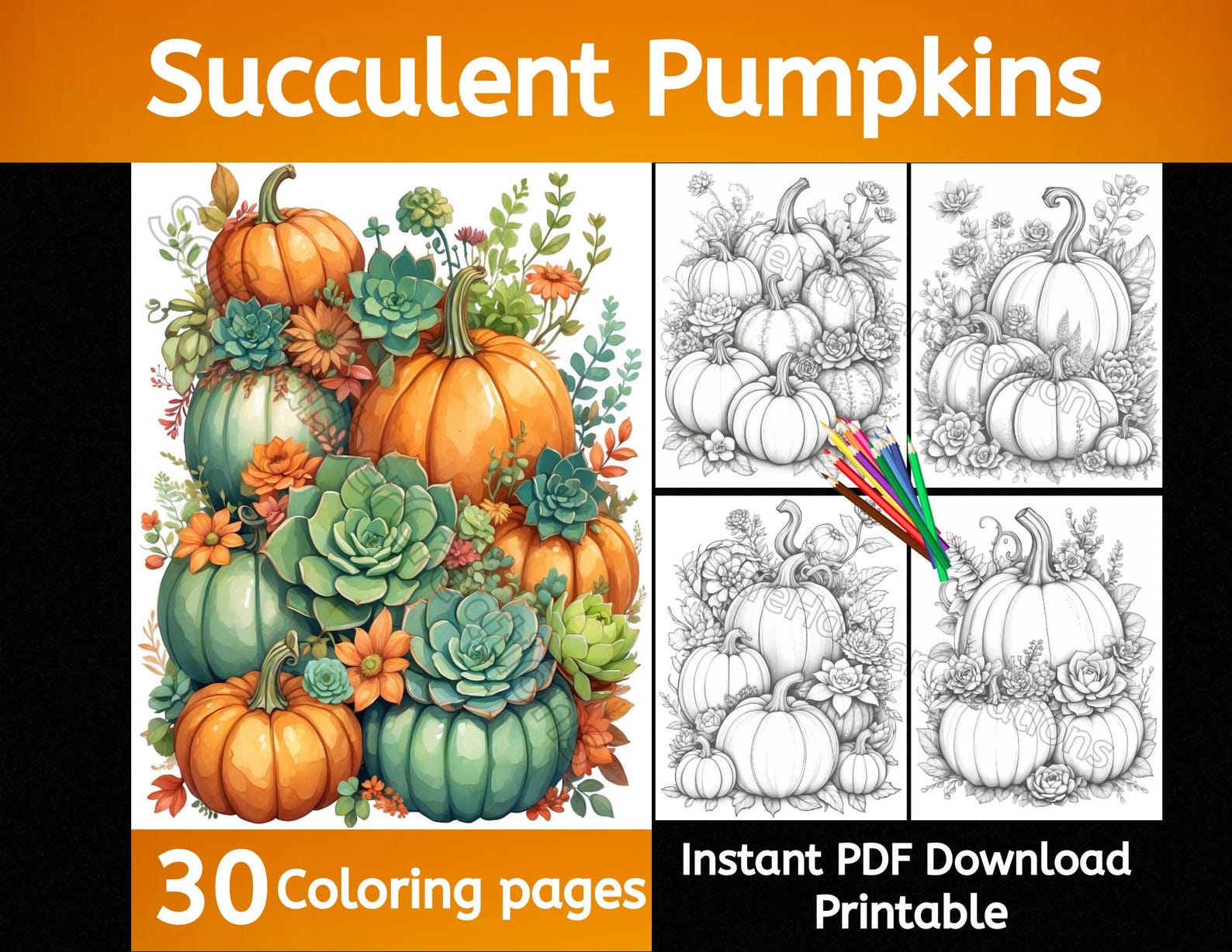 Succulent Pumpkins Coloring Pages, Instant Download, Printable, Pumpkin ...