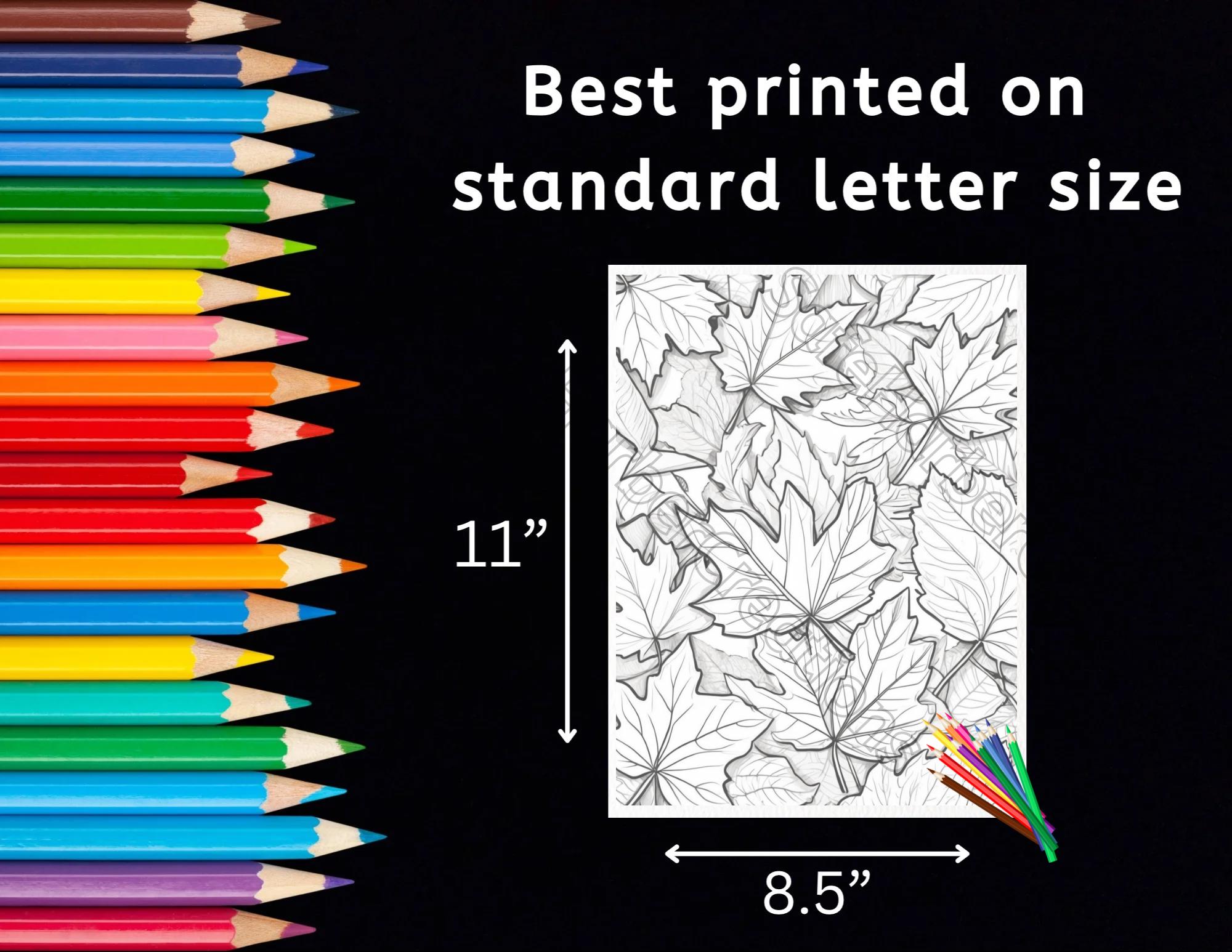 Fall Leaves Coloring Pages, Instant Download, Printable, Fall Coloring ...