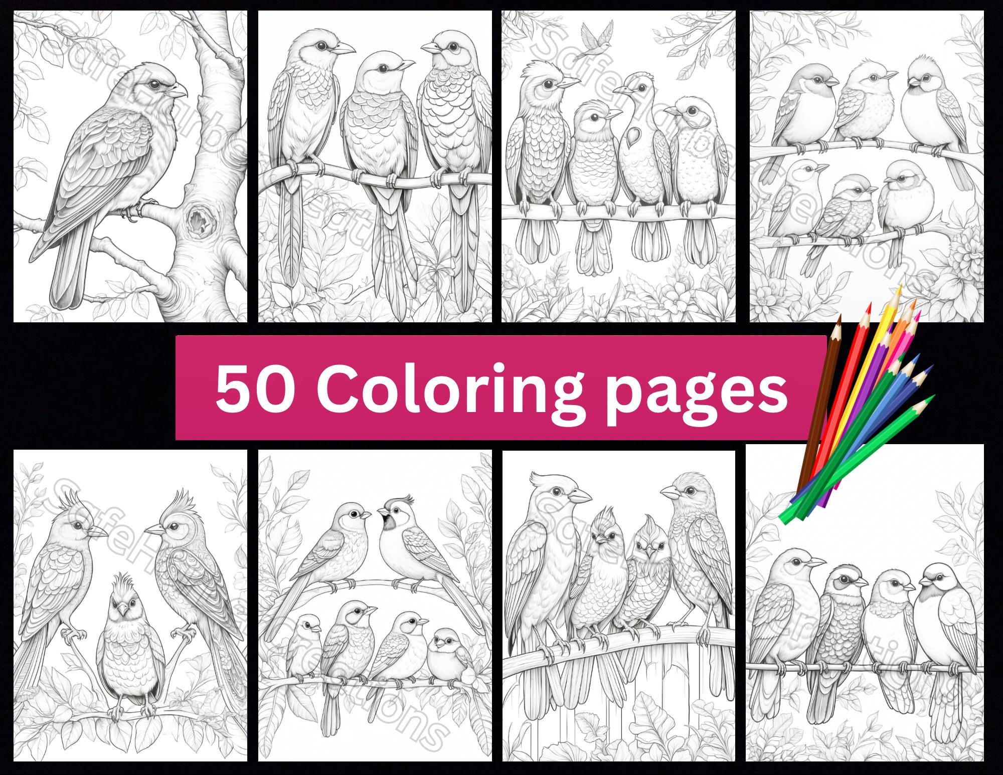 Bird Watching Coloring Pages, 50 Beautiful Images, Instant Download ...
