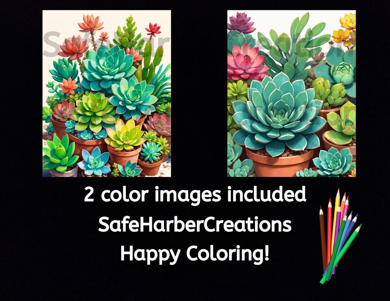 Cactus & Succulent Coloring Pages, 60 Pages, Instant Pdf Download ...