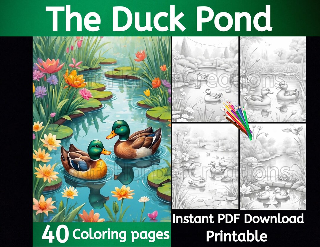 The Duck Pond Coloring Pages, 40 Images, Instant Download, Printable ...