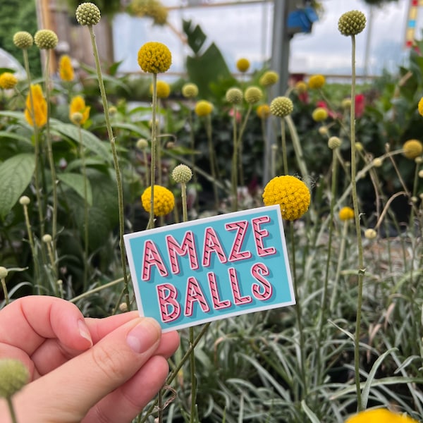 Amazeballs - Etsy