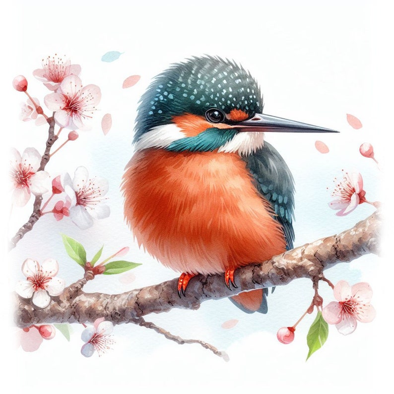 Kingfisher Clipart, 10 JPG High Quality Images. COMMERCIAL USE. Paper ...