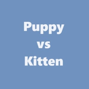 Mini Course: Puppy Vs. Kitten Choosing Your Purrfect or Pawsome ...