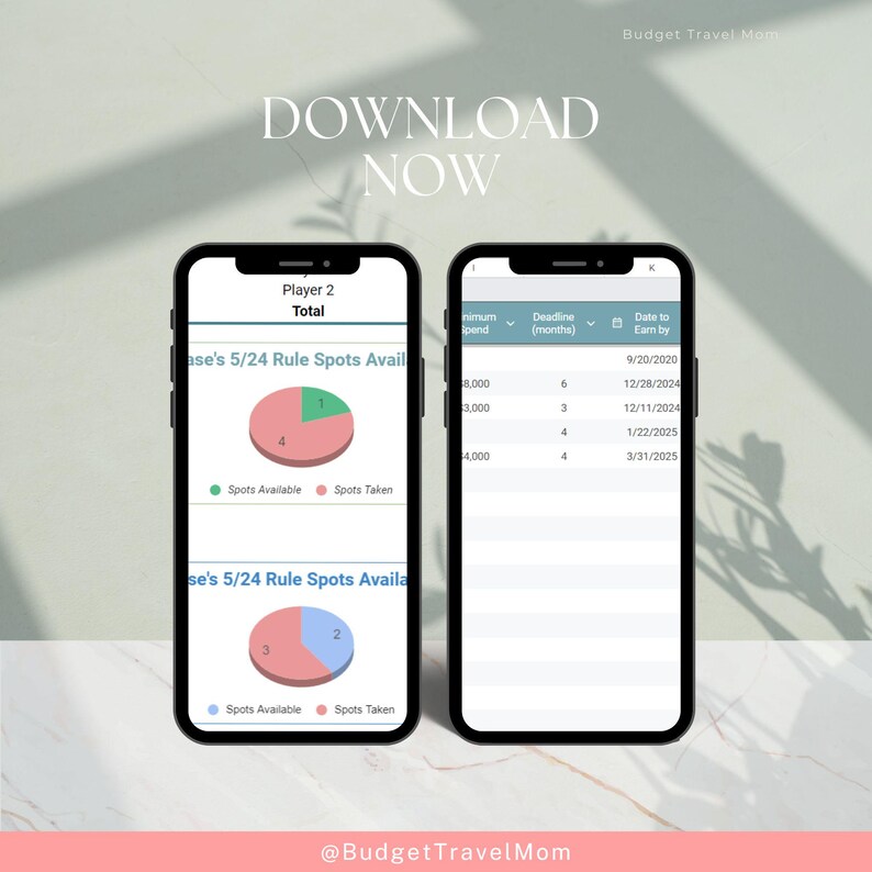 Customizable Credit Card and Points Tracker | Google Sheets | Manage ...