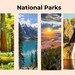 Printable Bookmarks 12 National Park Bookmarks Instant Digital Download ...