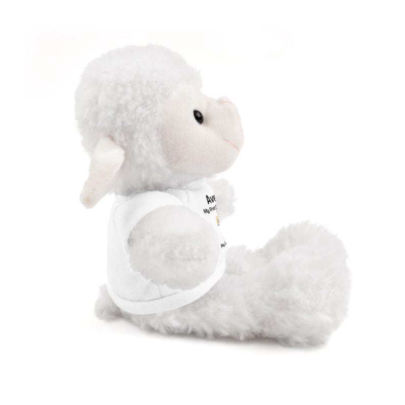 Personalized First Communion Gift, Custom Plush Lamb With Name and Date ...