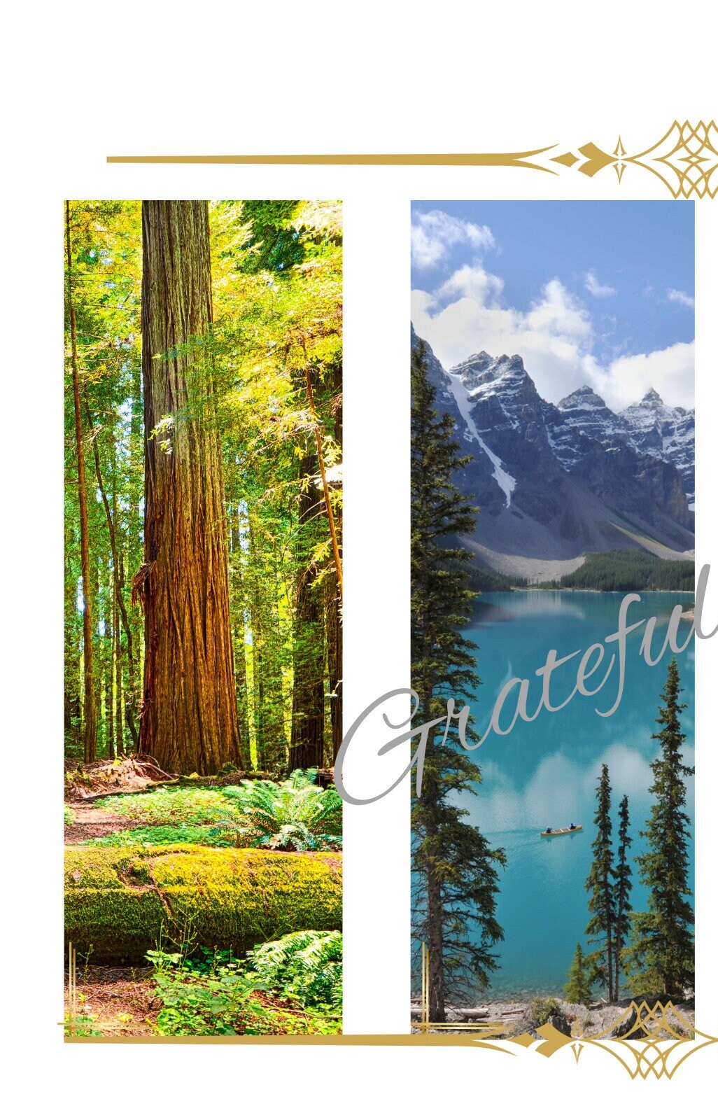 Printable Bookmarks 12 National Park Bookmarks Instant Digital Download ...