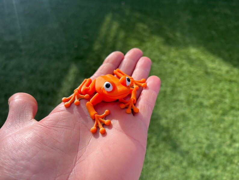 3D Printed Articulated Tree Frog, Flexible Fidget Toy, Anxiety Toy ...
