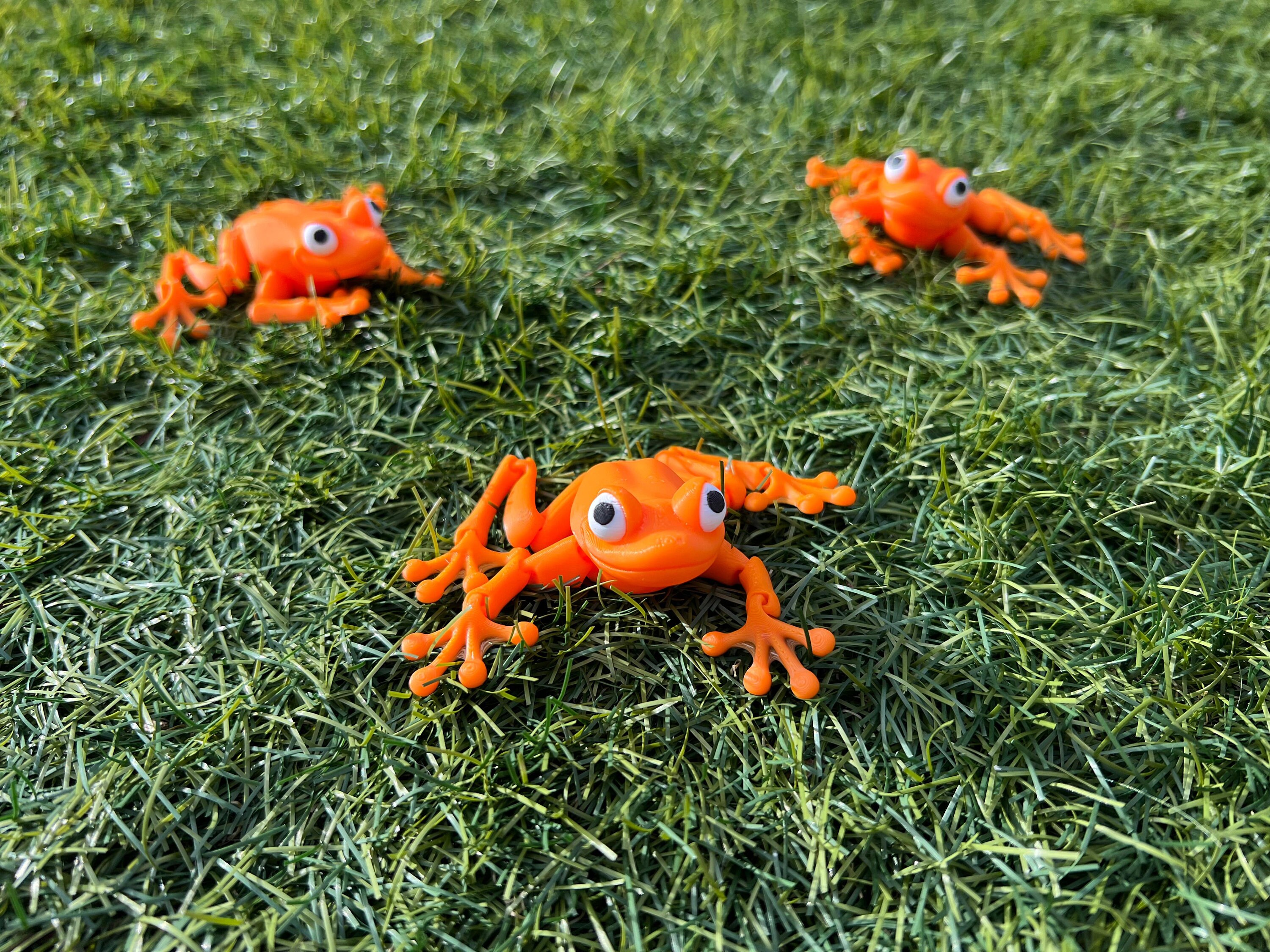 3D Printed Articulated Tree Frog, Flexible Fidget Toy, Anxiety Toy ...