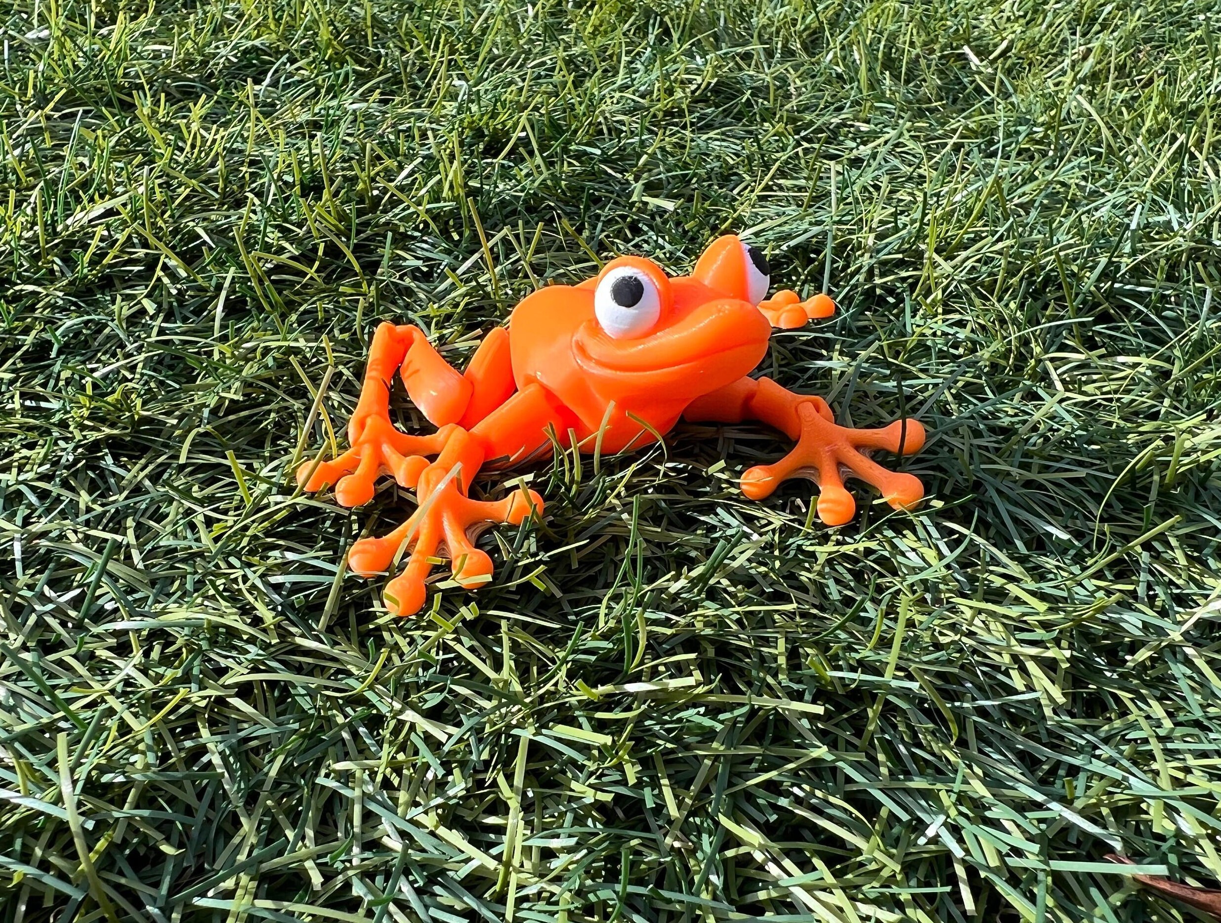 3D Printed Articulated Tree Frog, Flexible Fidget Toy, Anxiety Toy ...