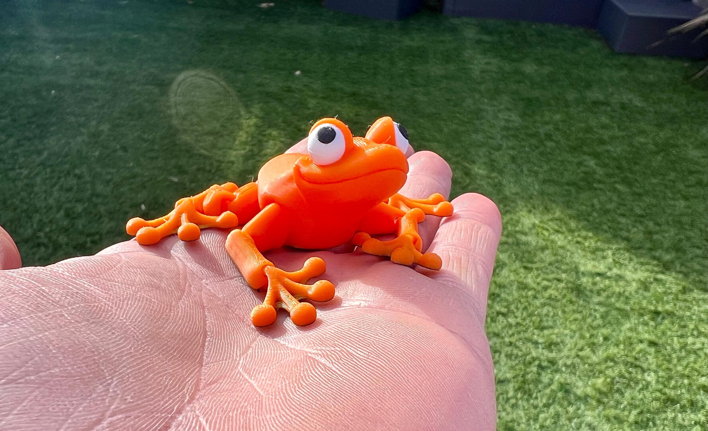 3D Printed Articulated Tree Frog, Flexible Fidget Toy, Anxiety Toy ...