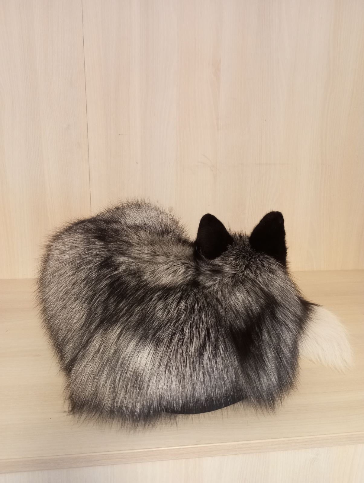 Professional Taxidermy Silver Fox vulpes Vulpes - Etsy
