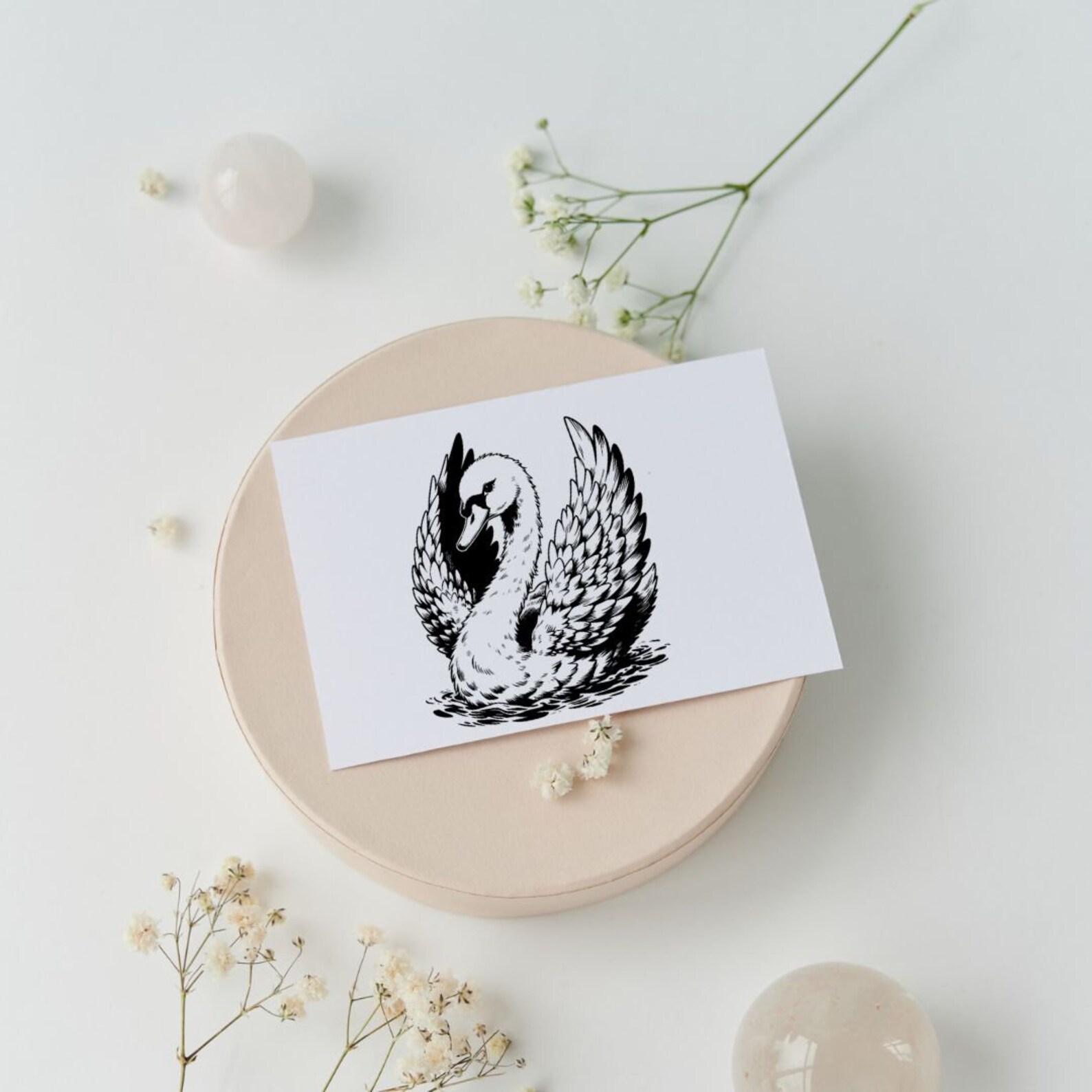 SWAN SVG BUNDLE, Swan Svg, Swan Bundle Png, Swan Clipart, Swan Cut ...