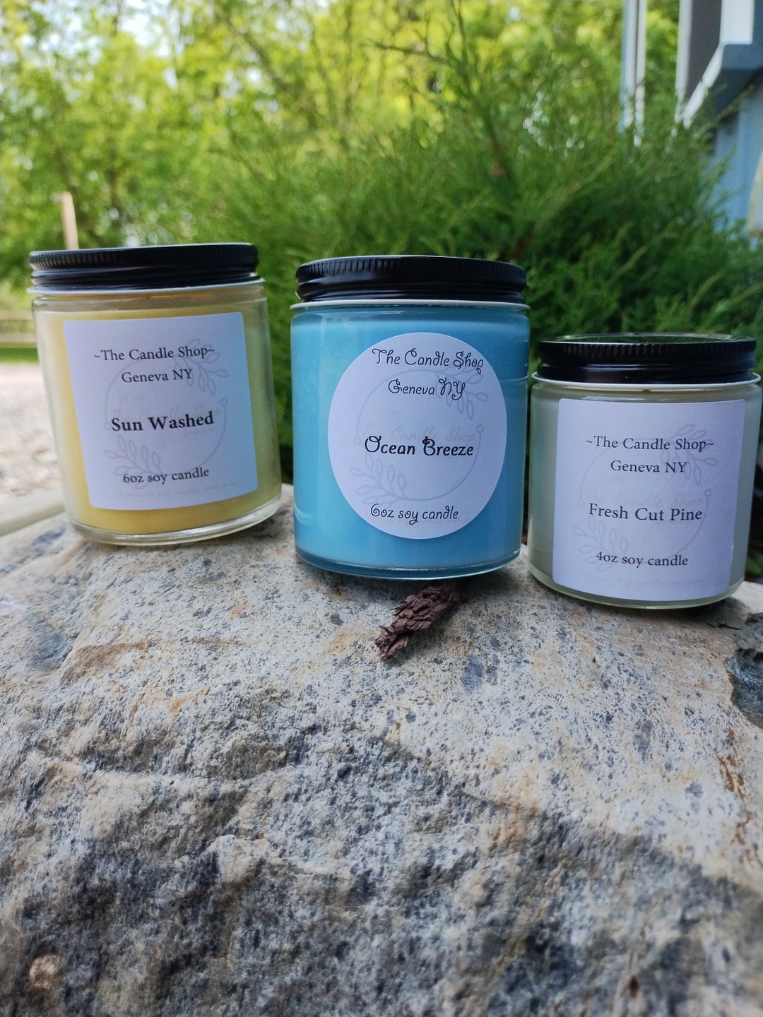 Earthy, Woodsy and Outdoor Scents/you Choose/6oz Soy Candle - Etsy