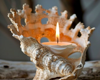 Handmade Shell Candle Holders - Etsy