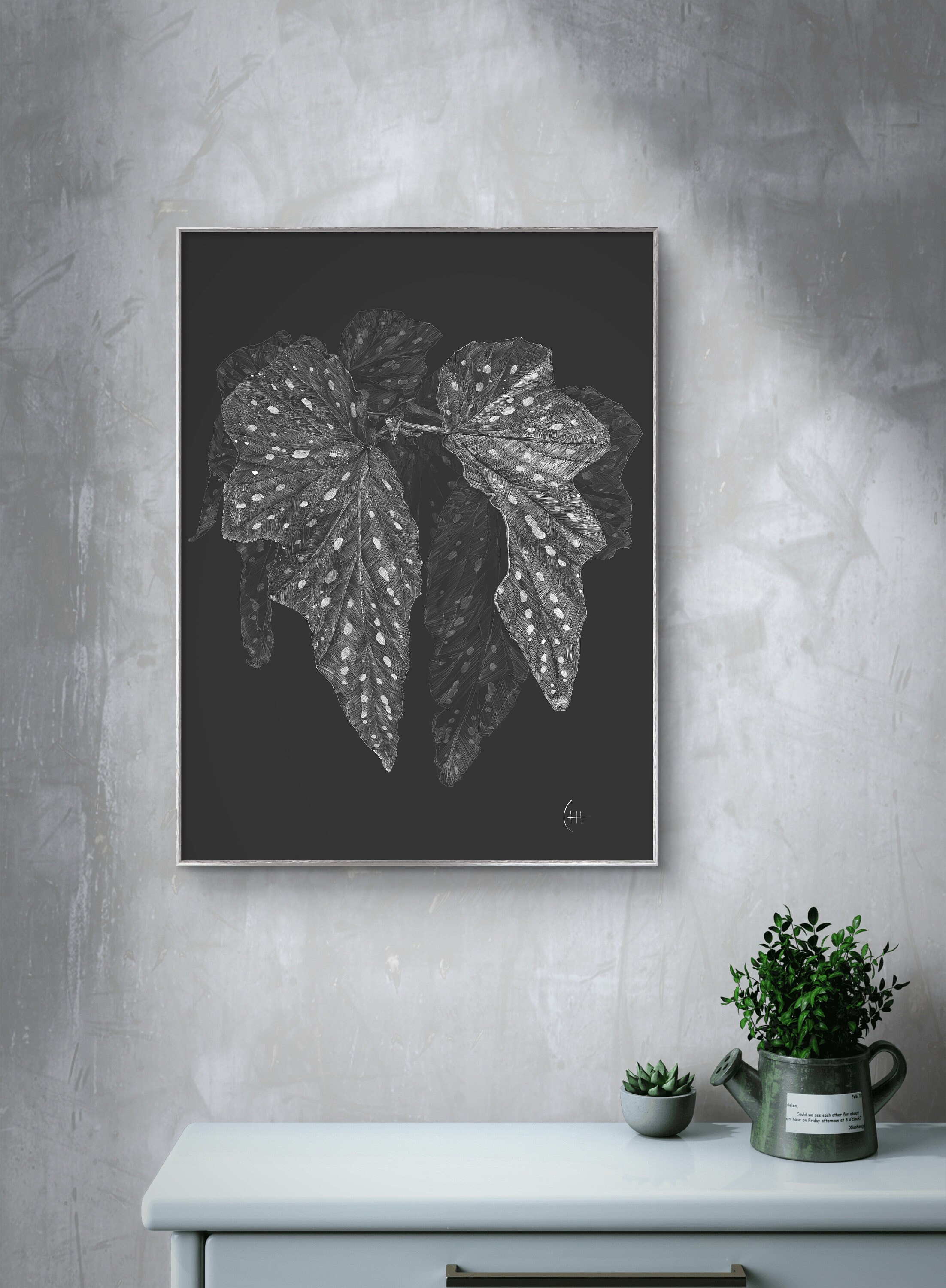 Begonia Maculata Wightii Botanical Art Printable Digital Drawing ...