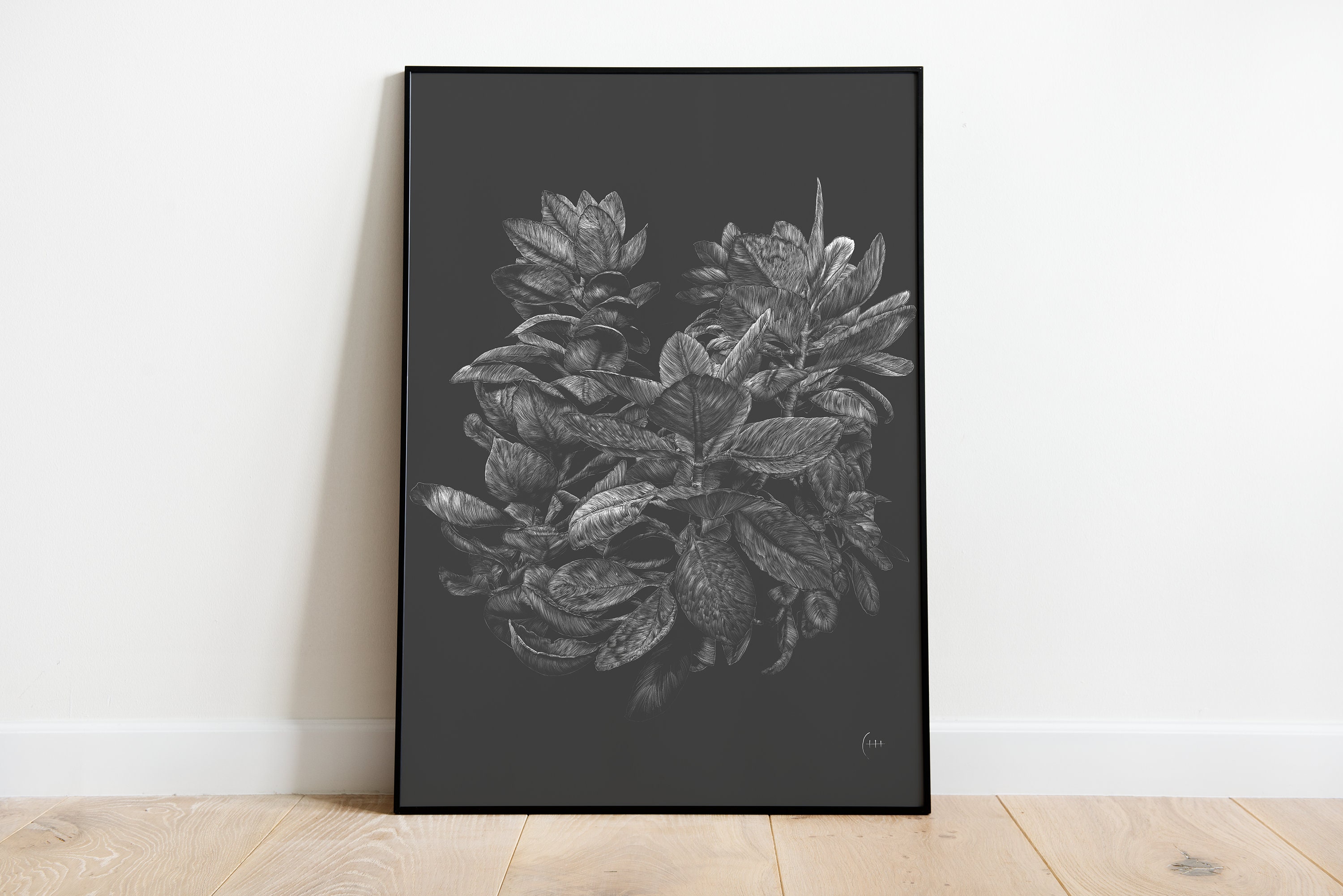 Kalanchoe Thyrsiflora Botanical Art Printable Digital Drawing Sgraffito ...