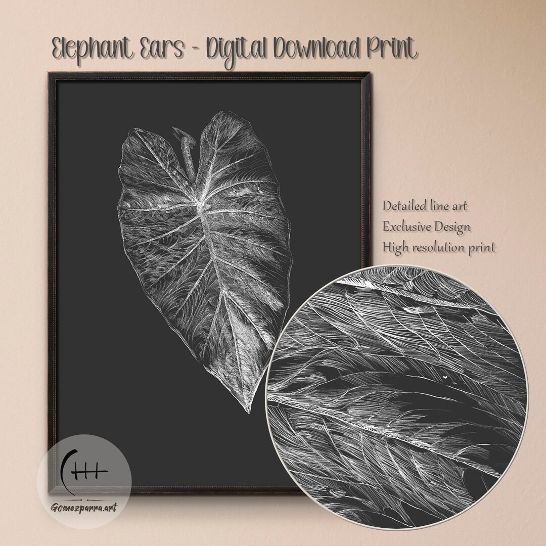 Elephant Ears Leaf Botanical Art Printable Digital Drawing Sgraffito - Etsy