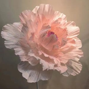 Large Paper Flower 60cm Wide Giant Peony Flower Head for Event ...