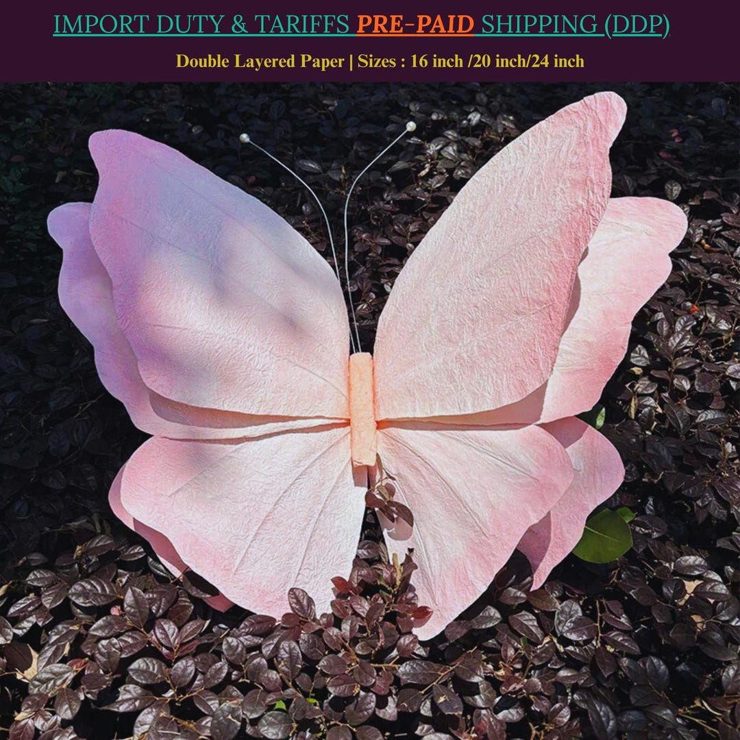 Giant Paper Butterfly Double Layered 20/24-inch Butterfly Decorative ...