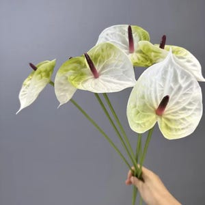 Artificial Anthurium Flowers With Green Stem 10 Pieces PU Flower for ...