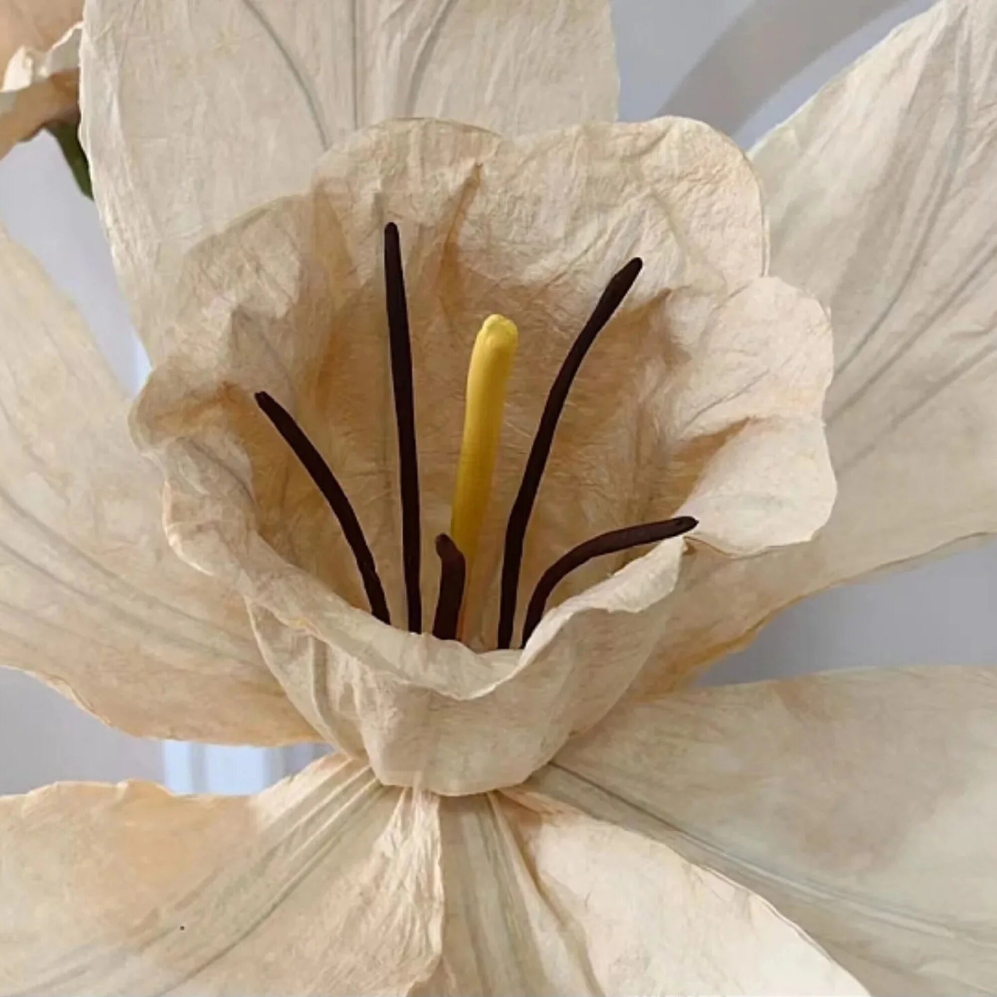 Giant Paper Flower Oversised Narcissus Flower Heads 3 Pieces for ...