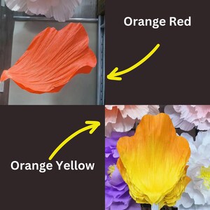 DIY Paper Peony Flower Petals 10 Pieces Set Large Crepe Paper Petals ...