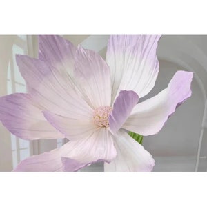 Giant Water Lily Flower Oversized Paper Flower Head 3 Pieces Set for ...