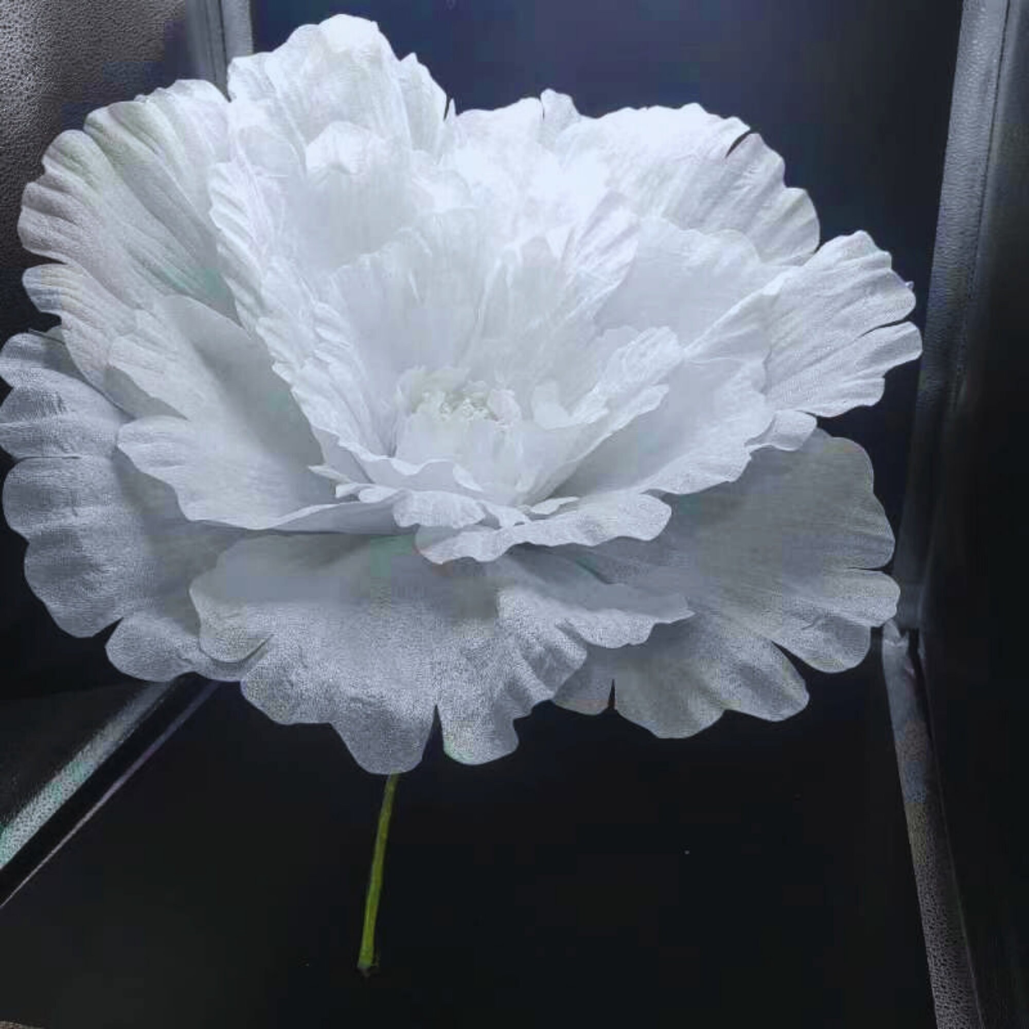 Super Large White Peony Flower 100cm Oversized Paper Peonies With Leaf ...